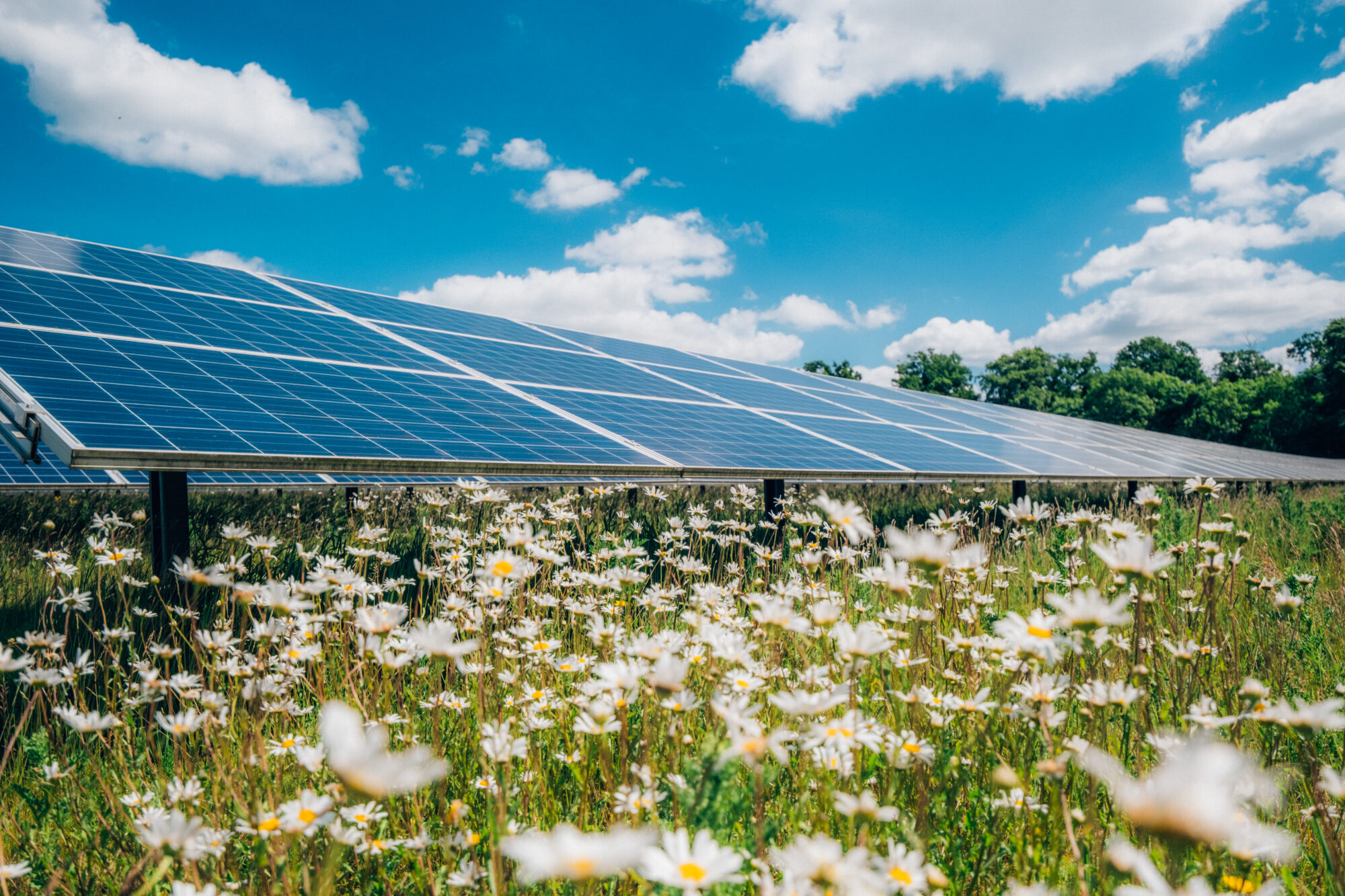 Oxygen Conservation - Home