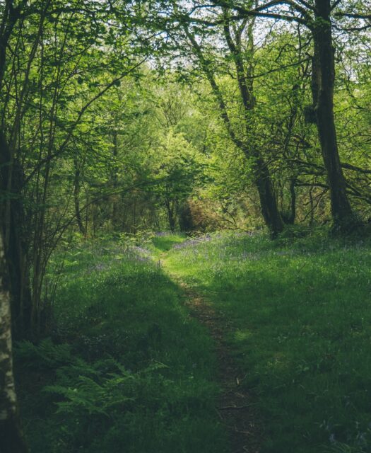 Join the adventure - Oxygen Conservation