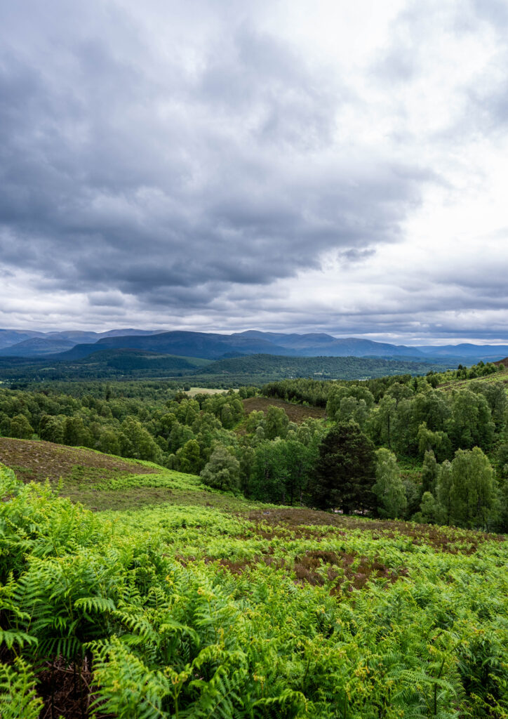 Kinrara - Oxygen Conservation